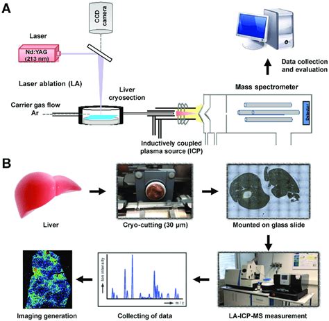 Laserablation Icp Ms