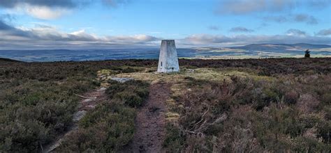 Long Crag Trig Point In Rothbury Northumberland Trig Points