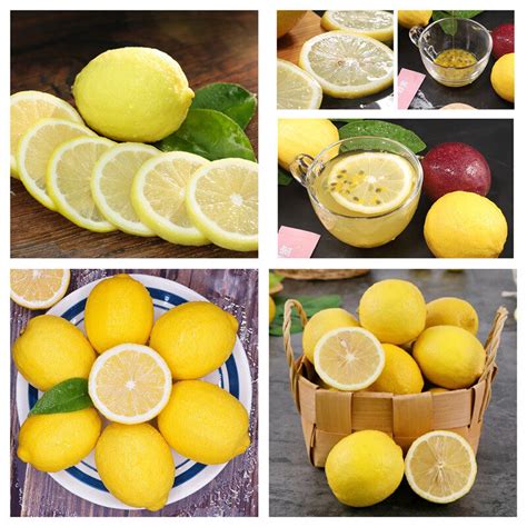 20เมล็ด เลม่อน เมล็ดพันธุ์ Dwarf Lemon Tree Plant Seed For Sale Rare