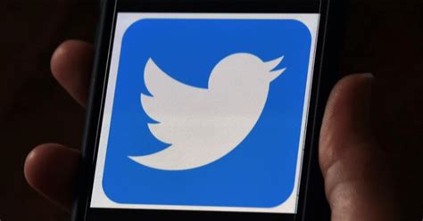 New Bug Discovery Proves Mite Of Twitter