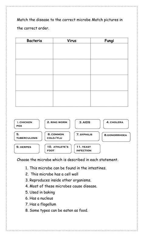 Worksheet On Microorganisms Class 6