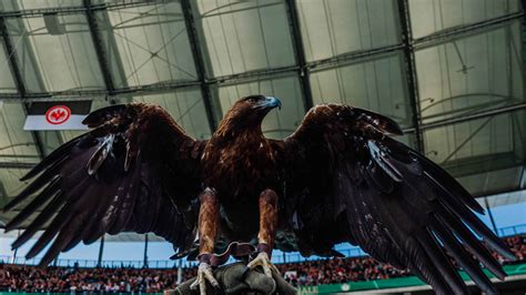 Conference League For Eintracht Eintracht Frankfurt Pros