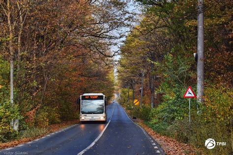 B365 Autobuzele liniilor 443 444 446 447 și 447B nu vor mai opri