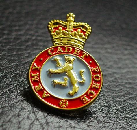 Army Cadet Force Military Classic Badge Enamel 3d Best Quality Uk Army Poppy Remembrance Day