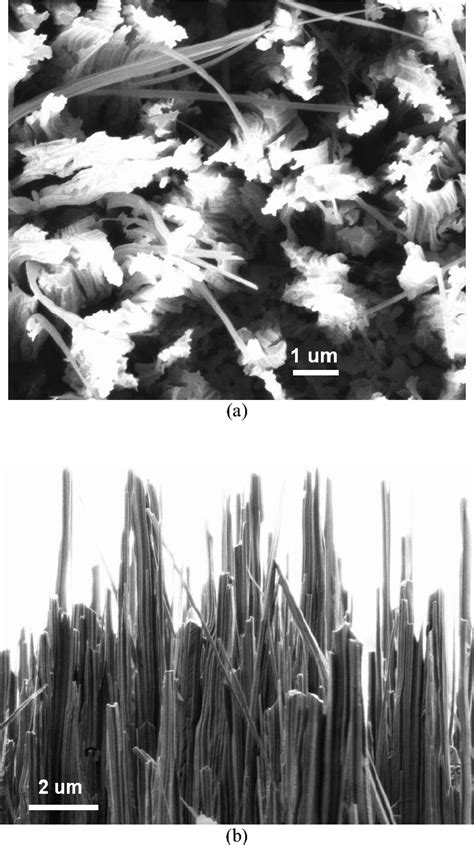 Figure 2 From Morphology Of Silicon Nanowires Grown On Si 100 Substrate Semantic Scholar