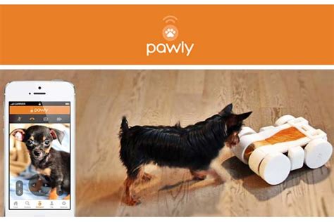Spotlight On Startups Hybrid Chew Toy Robot Wins Global Startup Battle