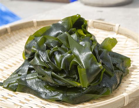 生の茎わかめの塩抜きの時間下処理方法 グルマン