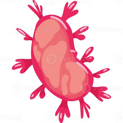 Virus Nipah Epidemic Isolated Illustration 53341717 Png