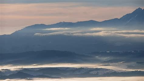 Kamera Na Turbaczu Oglądaj Na żywo