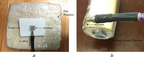 Phantoms Used In Defected Ground Ring Patch Antenna Performance
