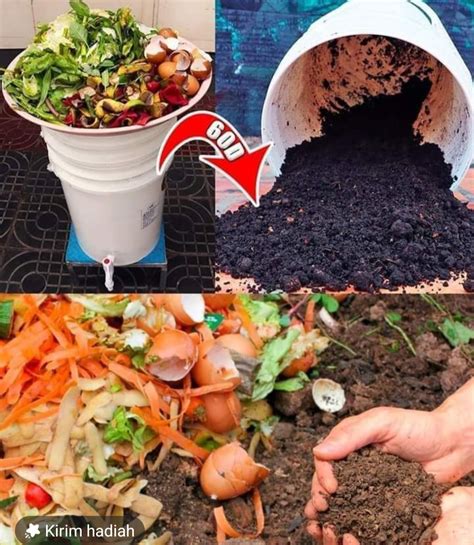 Sampah Dapur Menumpuk Begini Cara Mengolahnya Jadi Pupuk Kompos Yang