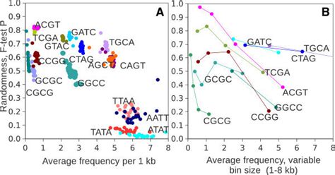 Frequencies Of Occurrence And Randomness Of 4 Base Palindromes Across