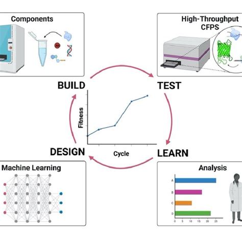 Design Build Test Learn Cycle Involving Machine Learning The Figure Download Scientific
