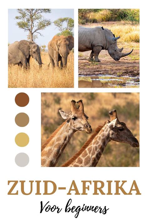 Zuid Afrika Voor Beginners Artofit