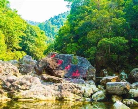 防城港十万大山防城港防城港海景房上思县十万大山大山谷图库