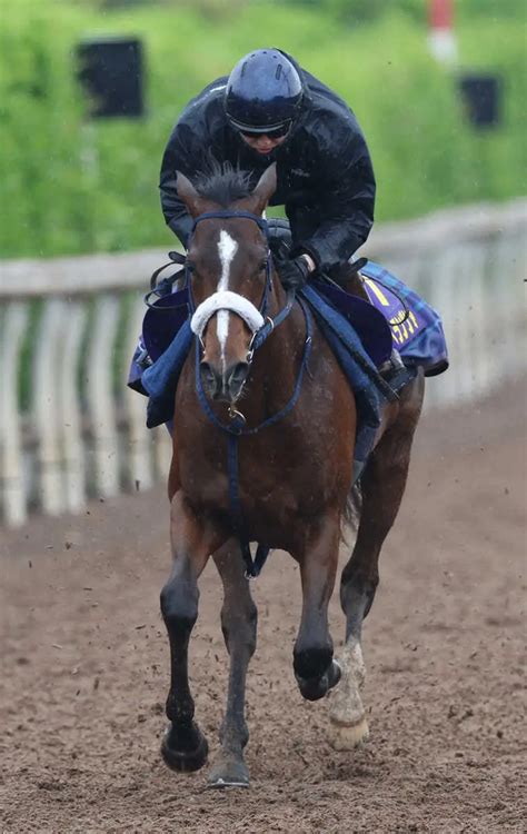 【nhkマイルc】近年アーリントンc勝ち馬は強い スポニチ Sponichi Annex ギャンブル