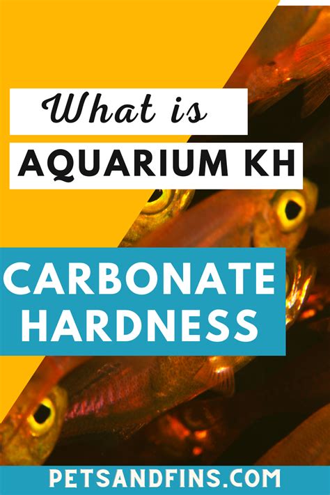 What Is Aquarium KH Aquarium Fish Tank Carbonate