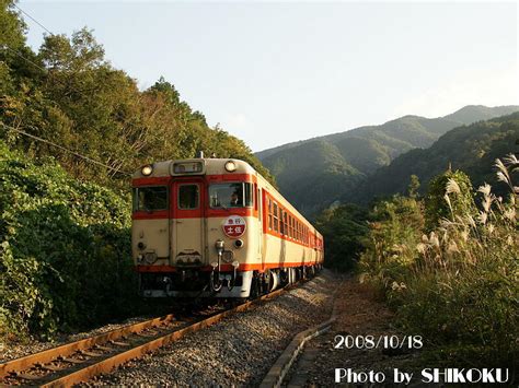 Shikoku S World Jr