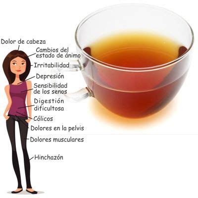 Manzanilla albahaca menta anís y verbena para la menstruación Infusiones con hierbas para