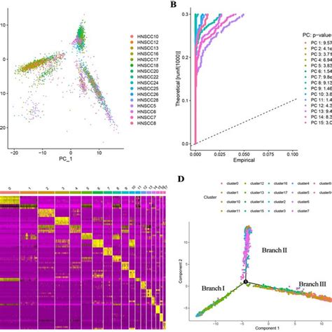 Dimensionality Reduction And Cell Trajectory Analysis Based On