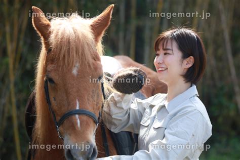 馬のブラッシングをする女性の写真素材 170423514 イメージマート