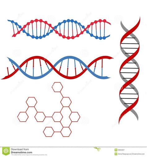 Dna Vector Design Element