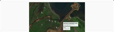 Aerial View Of All Sampling Sites Of Mangrove Assessment And The Download Scientific Diagram