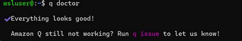 Amazon Q For Command Line を Wsl で試す サーバーワークスエンジニアブログ