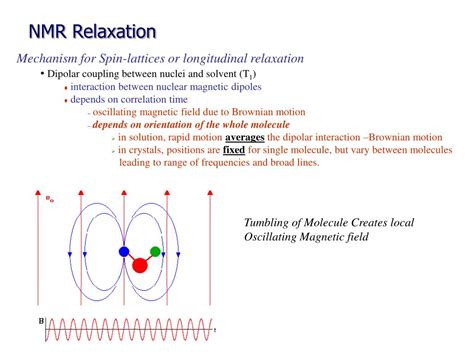 Ppt Nmr Relaxation Powerpoint Presentation Free Download Id6778049