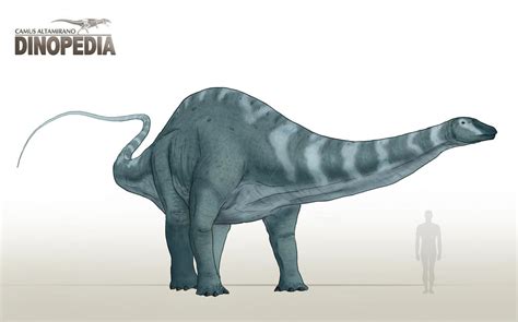 Apatosaurus Ajax By Camusaltamirano On Deviantart