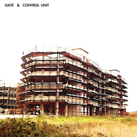 Gate Control Unit Gate Control Unit 2016 Vinyl Discogs