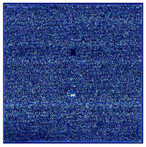 A Scanned Affymetrix Yeast Genechip Image Affymetrix Genechip