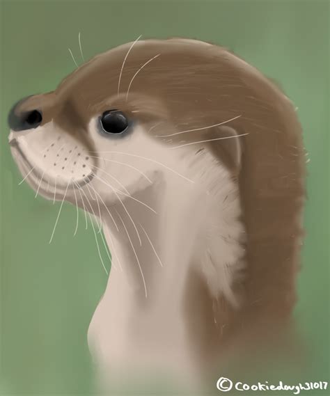 Asian Short Clawed Otter By Cookiedough31017 On Deviantart