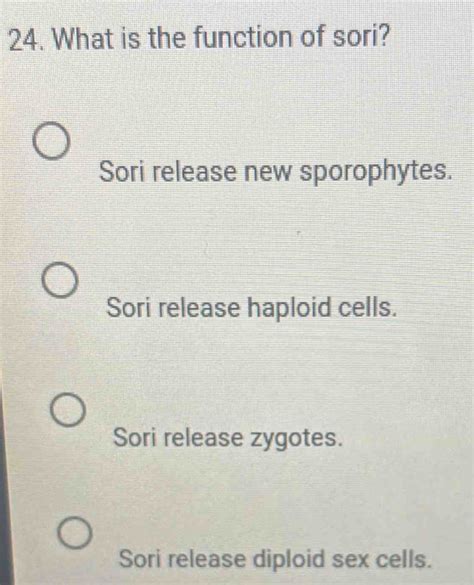 Solved 24 What Is The Function Of Sori Sori Release New Sporophytes Solved 24 What Is The Function Of Sori Sori Release New Sporophytes