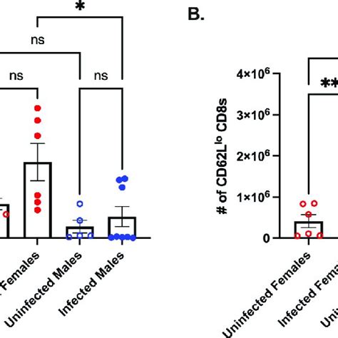 Cvb3 Induces Expansion Of Activated Cd8 T Cells In The Mesenteric