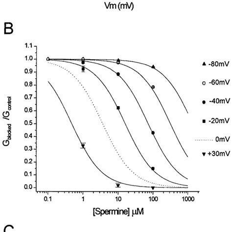 Analysis Of Voltage And Concentration Dependent Block By Intracellular