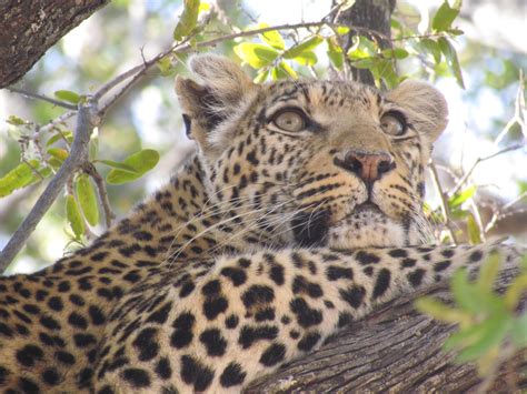 Before After Rpostprocessing