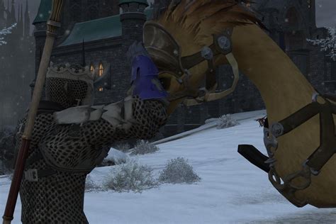 I Love Little Npc Interactions Like This R Ffxiv