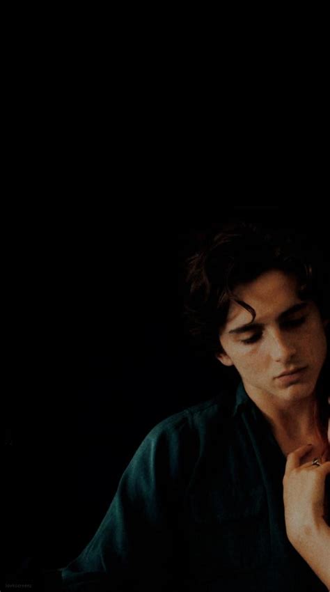 Timothee Chalamet Desktop Wallpaper