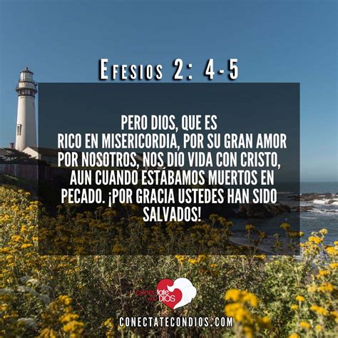 Los 7 Mejores Versículos de Misericordia Conéctate Con Dios
