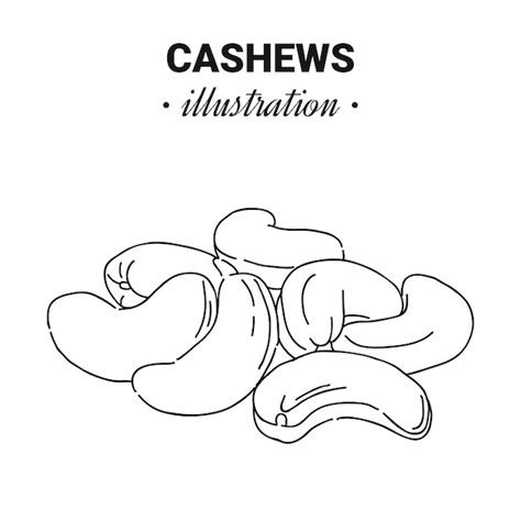 손으로 그린 캐슈 그림 프리미엄 벡터