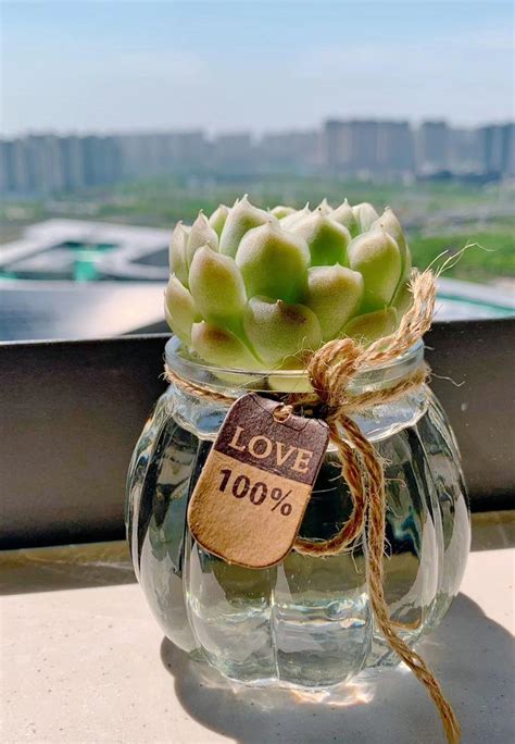 二婚会幸福吗？ 知乎