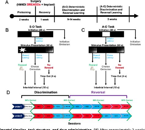 Figure 1 From Theta Oscillations In Frontal Cortex Differentially Modulate Accuracy And Speed In