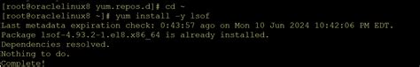 Error Failed To Download Metadata For Repo Pgdg Common Repomdxml