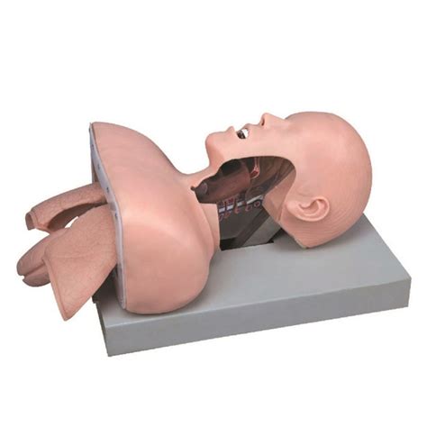 Medical Teaching Lifelike Advanced Airway Intubation Model With Alarm