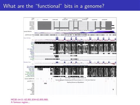 Ppgardner Lecture Genome Function Pdf
