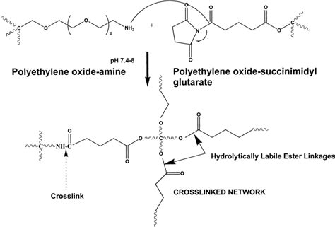 Chemical Structure Of Cross Linking Network Components And Schematic