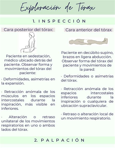Semiologia Medica Examen Fisico Del Torax Exploracion