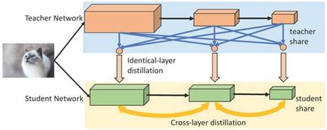 Electronics Free Full Text Shared Knowledge Distillation Network