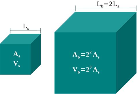 Square Cube Law Relationship Between Lengths Areas And Volumes